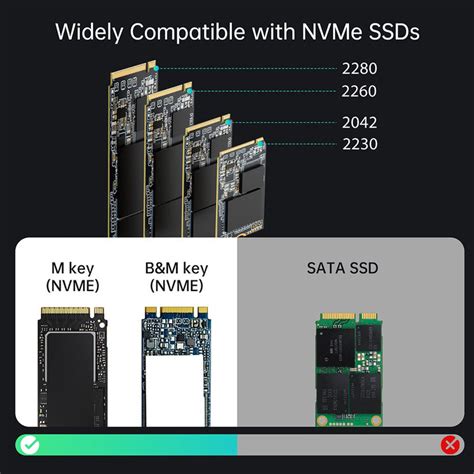 Acasis Nvme M2 Duplicator 10gbps Dual Bay Offline Clone Type C Ssd