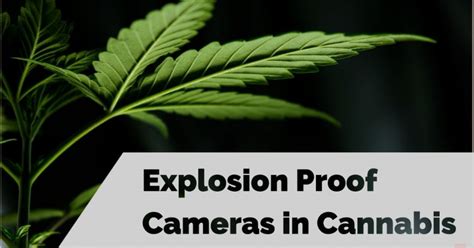 Explosion Proof Cameras In Cannabis Sapphire Risk Advisory Group