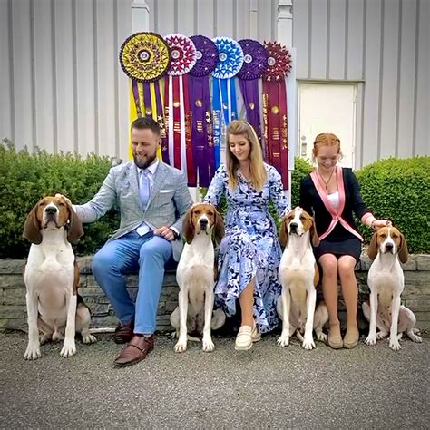 National Treeing Walker Coonhound Association Saturday May 13 2023 Canine Chronicle