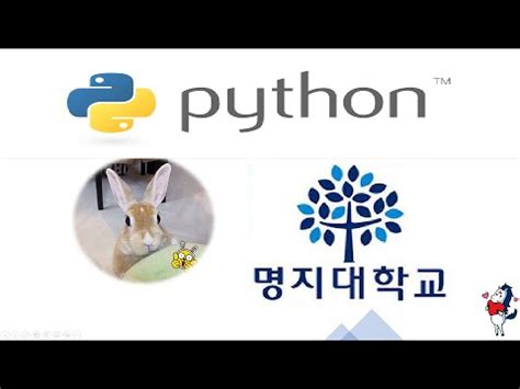 파이썬 변수와 자료형 복합자료형 리스트 튜플 딕셔너리 파이썬 python 명지대 YouTube