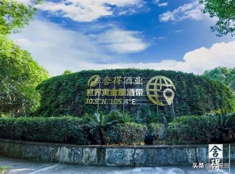 文化領域深耕不綴！捨得酒業為何能做出《捨得萬象新》賀歲大電影 每日頭條