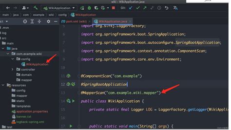 Java集成mybatis代码自动生成java Mybatis Flex代码生成 Csdn博客