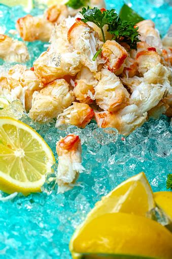 게 고기와 신체 부위 촉수 무릎 큐브 얼음에 푸른 해양 배경 레몬과 라임 의 조각은 녹색 빛 상단 측면보기 주위에 주위에 둥근 슬라이스 갈고리 발톱에 대한 스톡 사진 및