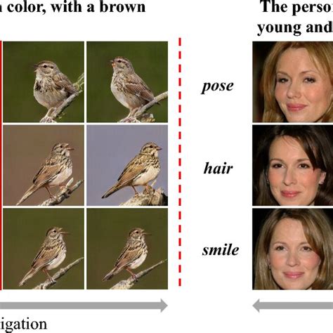 A Simplified Single Stage Text To Image Generation Architecture
