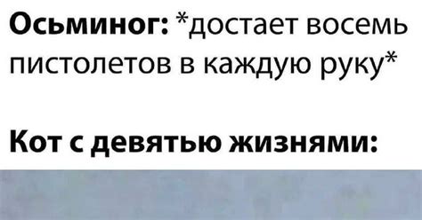 Осьминог vs кот | Пикабу