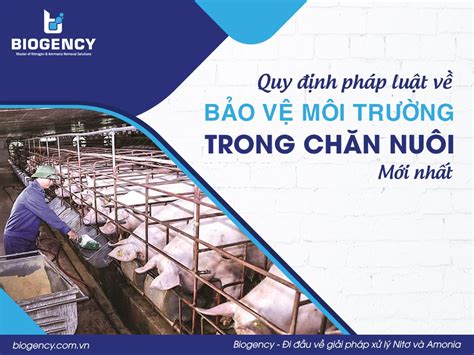 Quy định Pháp Luật Về Bảo Vệ Môi Trường Trong Chăn Nuôi Mới Nhất