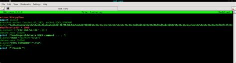Is2c Buffer Overflow Direct Return Warftp Application