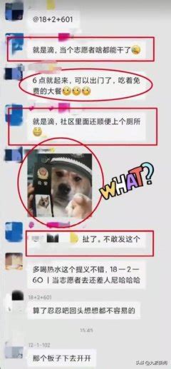 男子发“狗狗警察”表情包被拘9天，律师：处罚过重，当事人可提行政复议 看看头条中华网