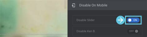 Slider Revolution Elements Are Not Visible Slider Revolution