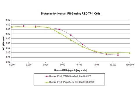 Human Ifn Beta Recombinant Protein 300 02bc 1mg