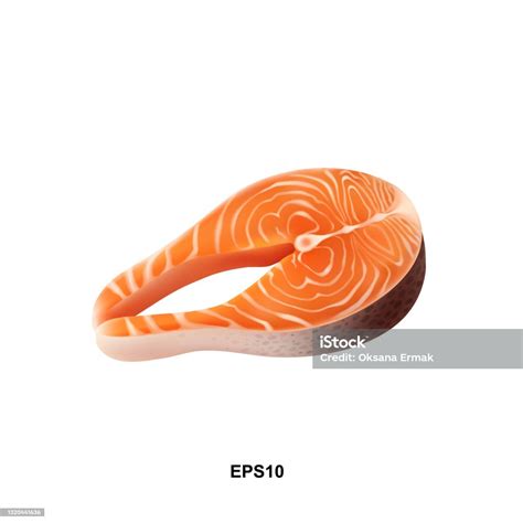 생 연어 스테이크 벡터 일러스트레이션 신선한 붉은 물고기의 두꺼운 조각 3차원 형태에 대한 스톡 벡터 아트 및 기타 이미지 3차원 형태 스테이크 연어 해산물 Istock