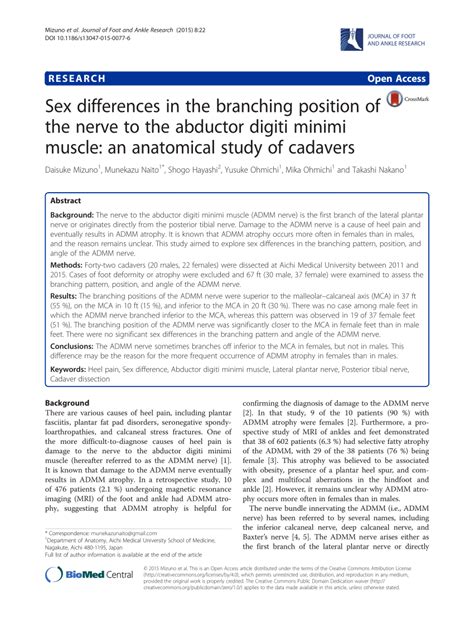Pdf Sex Differences In The Branching Position Of The Nerve To The