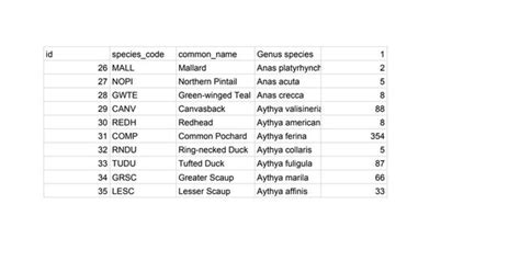 Errors Reported That Dont Exist R Pihole