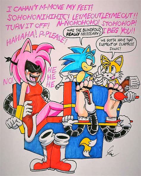 Amy Rose The Guinea Pig Commision By Konstantinossk On Deviantart