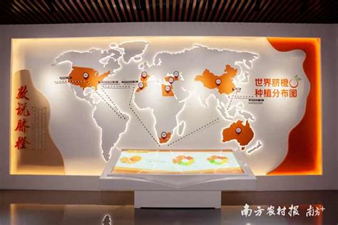 高质量发展广东首个脐橙展厅开馆带你穿越500年时空品脐橙的前世今生