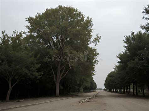 ai generated landscape consisting of rows trees on both the side of the