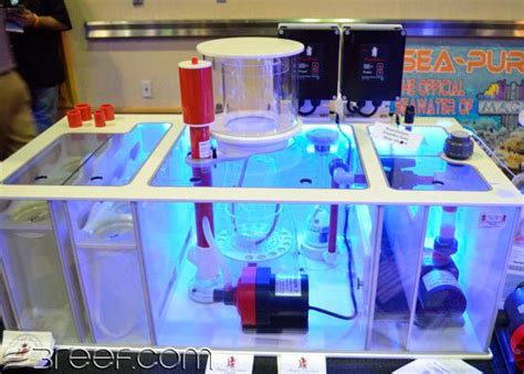 3reef Aquarium Forums Saltwater Aquarium Aquarium Sump Aquarium Setup