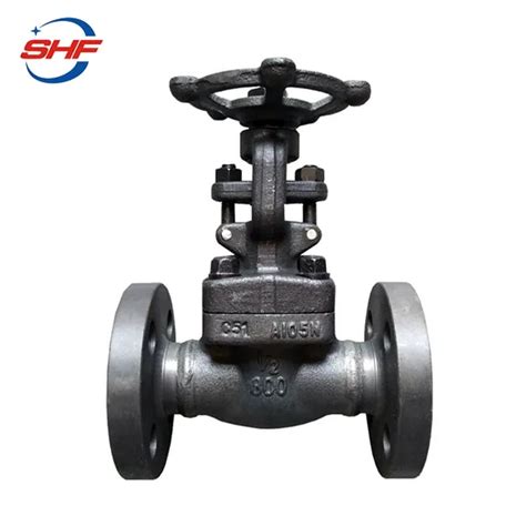 Flange Type A105 One Way Manual Check Valve Forged Steel Lift Type