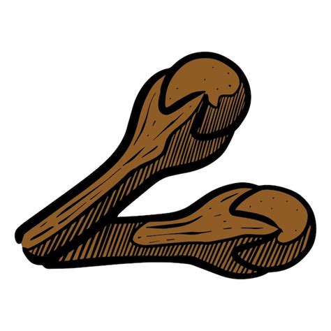 Premium Vector Clove Hand Drawn Color Vector Illustration