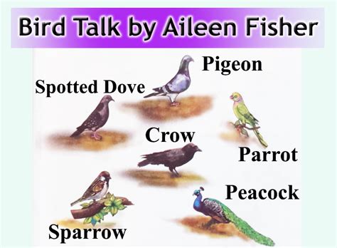 Bird Talk Class 5 Lesson 3 Assam English Questions And Answers