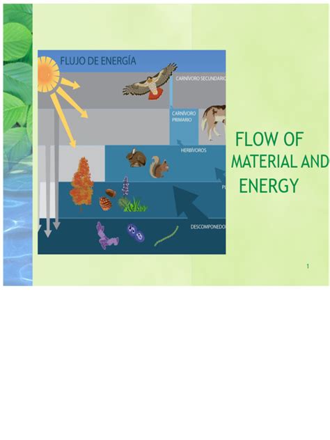 Flow Of Matter And Energy Tenth Pdf Food Web Ecosystem