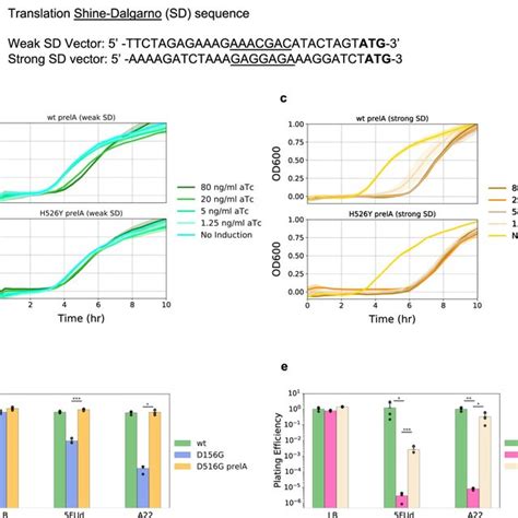 Rifampicin Resistance Desensitizes Elongating Rnap To Ppgpp A Same Download Scientific Diagram