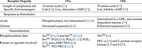 Divergent Biological Properties Of The Two Human Tp Isoforms Download Scientific Diagram