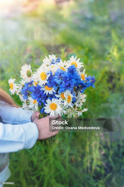 어린이 손에 녹색에 필드 데이지와 Cornflowers의 꽃다발을 들고 배경 흐리게 공간에 복사 합니다 알레르기입니다