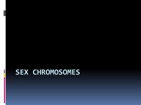 Ppt Sex Chromosomes Powerpoint Presentation Free Download Id