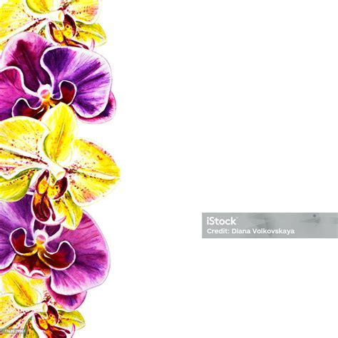 밝은 오초 꽃에서 아름다운 프레임입니다 수채화 그림입니다 이국적인 식물 플로럴 프린트 식물 구성 결혼식과 생일 인사말 카드 0명에 대한 스톡 벡터 아트 및 기타 이미지