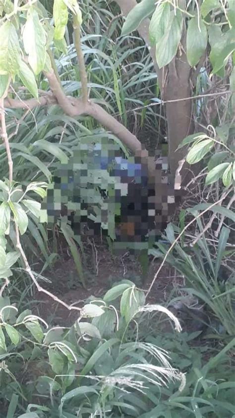 Corpo de jovem que estava desaparecido após sair para festa é encontrado as margens da BR