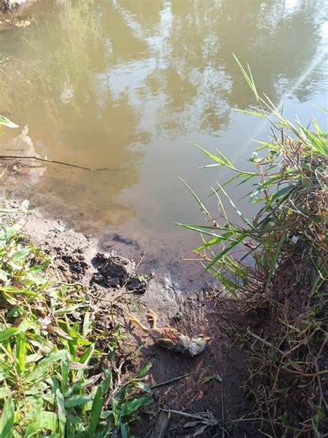 ឪពុកម្តាយធ្វេសប្រហែសមួយភ្លែត បណ្តាលឲ្យលង់ទឹកស្លាប់ នគរដ្រេហ្គន