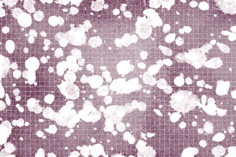 Grid Paper Sheet Graphic By Brina Design Creative Fabrica