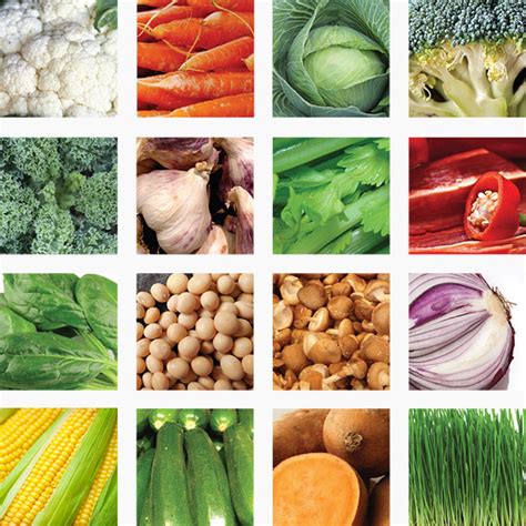 Vegetable Powders And Extracts Manufacturer And Producer In India