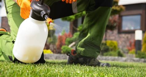 Dallas Texas Lawn Care Schedule A Comprehensive Guide To Maintaining A