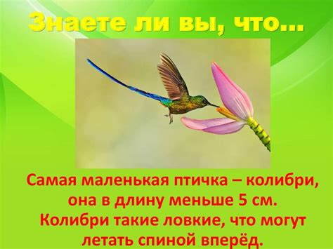 Удивительные факты о животных презентация онлайн