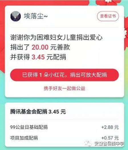 岳西中学99公益日“一起做好事”爱心捐赠澎湃号·政务澎湃新闻 The Paper