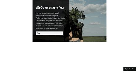 Cra Template Examples CodeSandbox