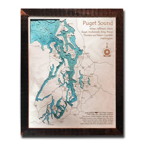 Puget Sound Map Location