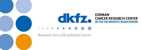 Postdoc On Microrobots For Viscoelastic Tissue Penetration Mfd
