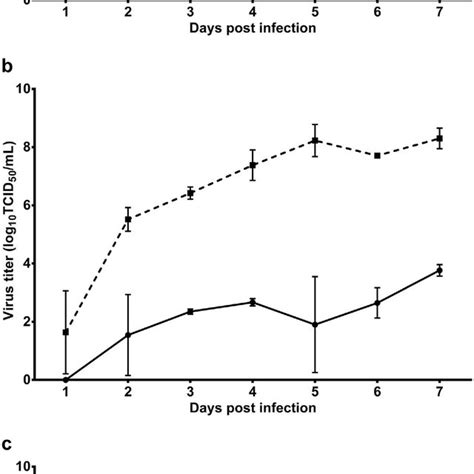 Kinetic Replication Curve Analyses Comparison Of Replication Curves Download Scientific