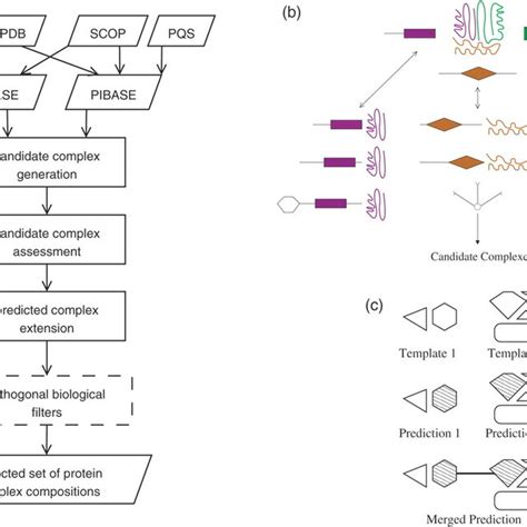 prediction logic overview a prediction flowchart groups of protein