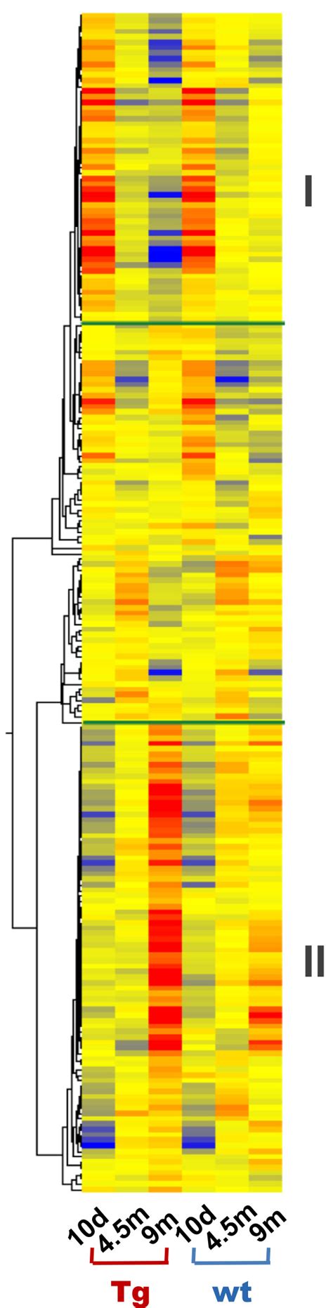 hierarchical clustering of genes that were differentially expressed in