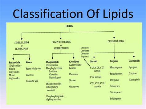 Classification Of Lipids According To Chemical Structure Ppt