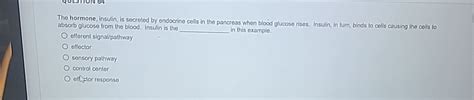 Solved The Hormone Insulin Is Secreted By Endocrine Cells Chegg