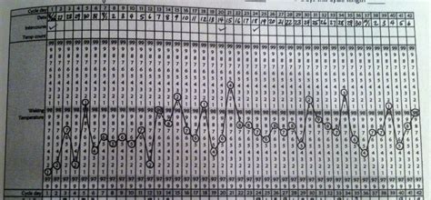 The Link Between Body Temperature Ovulation And Pregnancy Hubpages