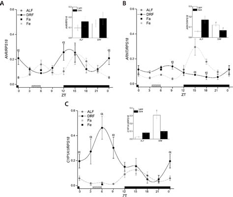 Temporal Expression Of Ahr Mrna A Arnt B And Cyp1a1 Mrna C In