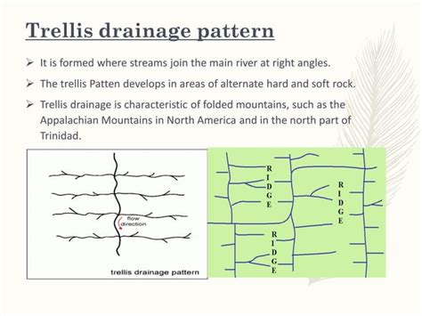 Types Drainage Pattern Presentation Pdf