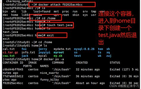 Docker Run Docker Run Name Csdn