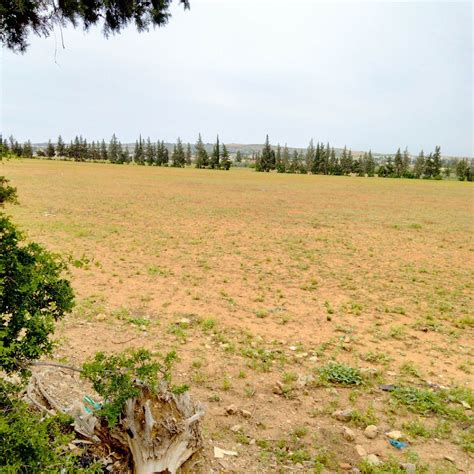 Récupération de deux terrains domaniaux agricoles de ha à la Manouba et Siliana